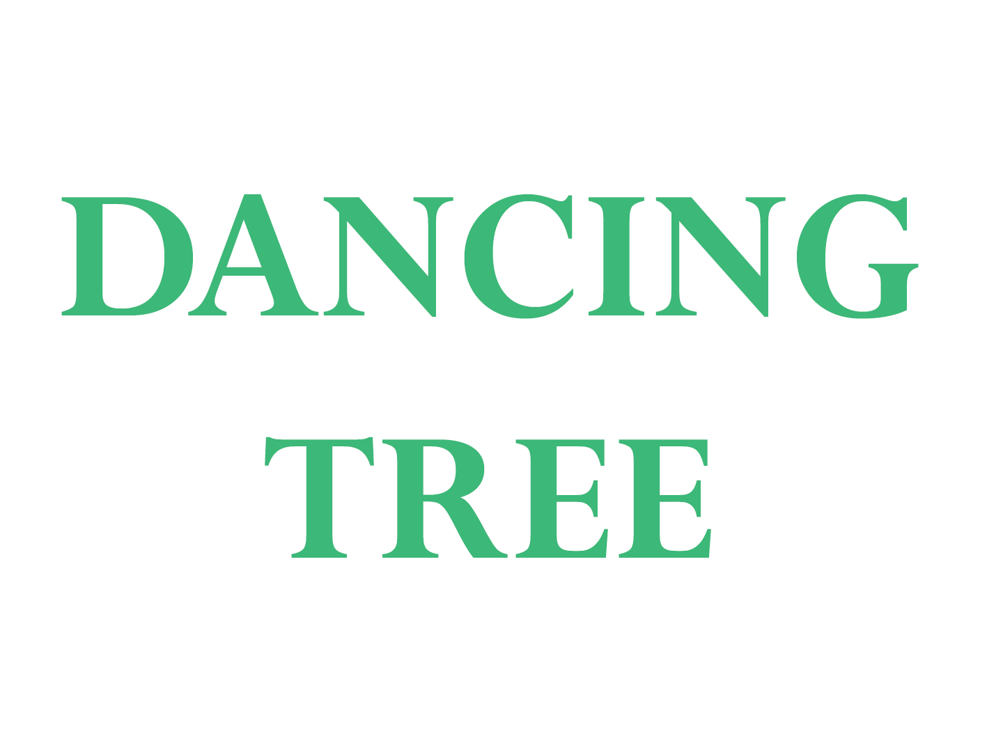 Dancing Tree Reflexology, Lampeter - Lampeter21